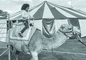 The circus comes to town