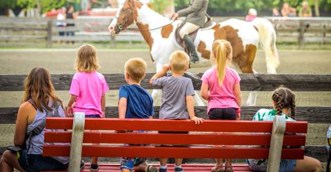 Full Day Schedule and Activities at the Sussex County Fair ...