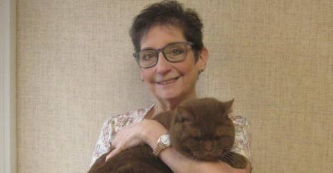 Feline behaviorist trains cats