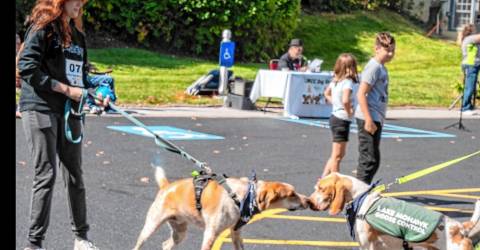 Dog Show & Parade raises funds for shelters
