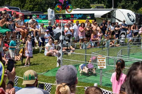 Photos from the New Jersey State Fair